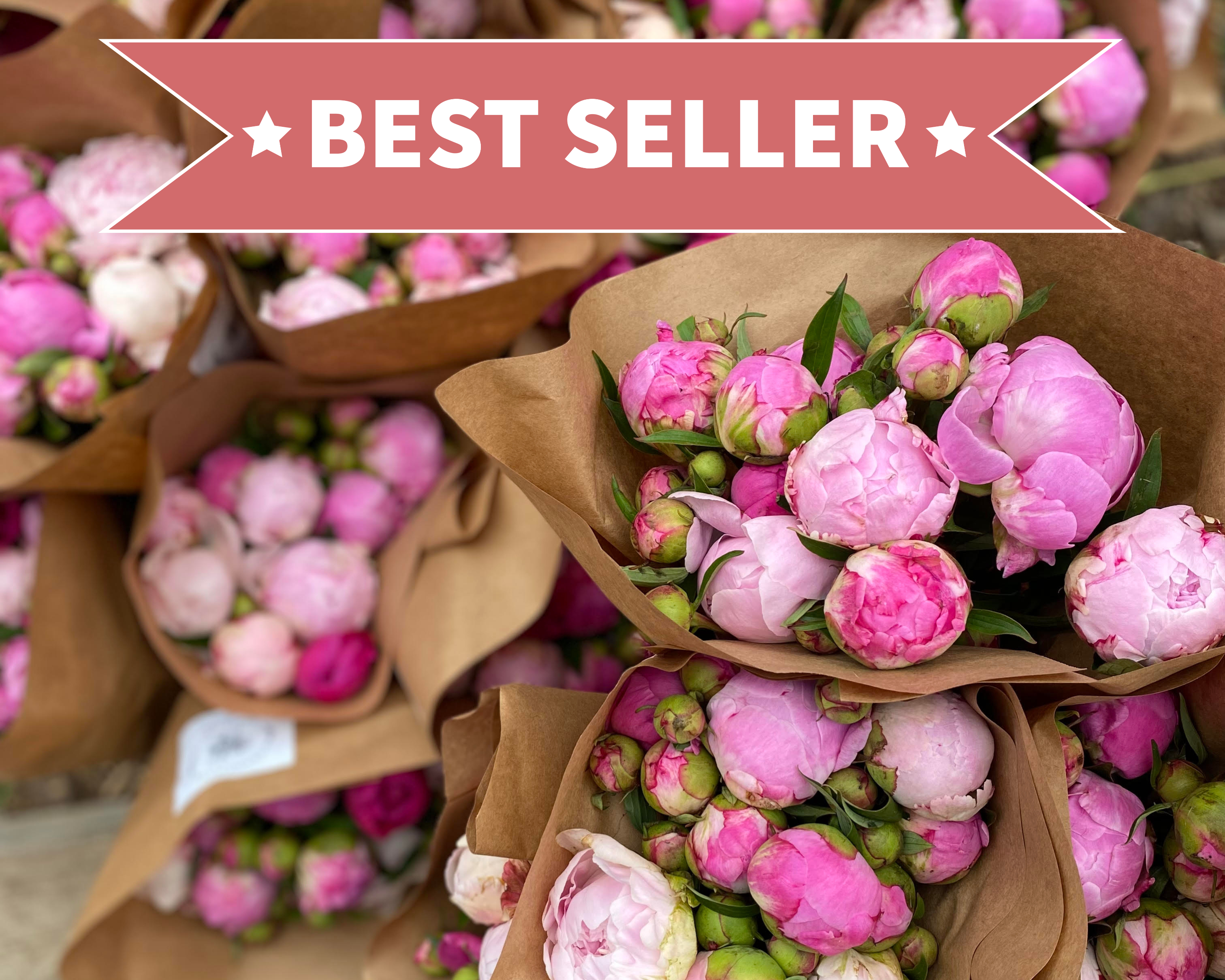 2026 June Flower CSA Subscription [Best Seller!] – Trademarks Flower Farm